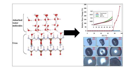 Mohamed Eisa On Linkedin Interactions Of Urea Surfaces With Water As
