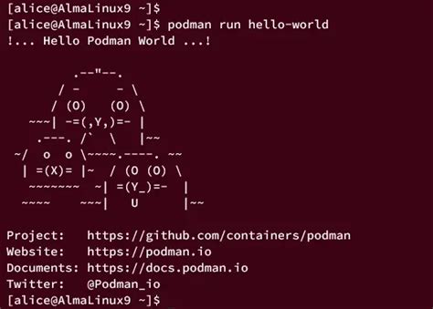 Beginner Guide To Install And Use Podman On AlmaLinux 9