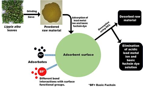 Ecologically Safe Removal Of Lead Ions And Basic Fuchsin Dye From An