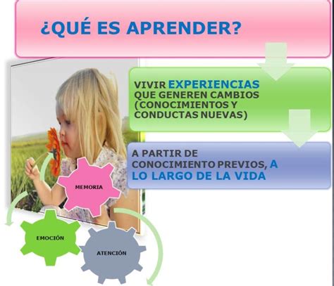 Los Dos Conceptos Claves En La Educación Aprendizaje Y Desarrollo Aula2