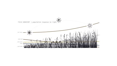 Editing Emergence — Michael Geffel Lnd Lab