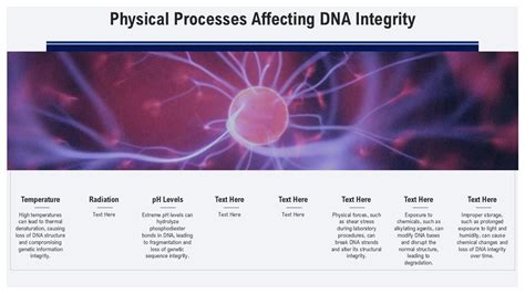 Physical Processes Affecting Dna Integrity Ppt Sample St Ai Ss Ppt