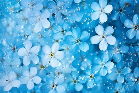 Light Blue Background With Flowers Wallpaper At Rebecca Patrick Blog