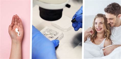 Best Maca Root For Fertility Black Maca Or Red Maca Vinatura