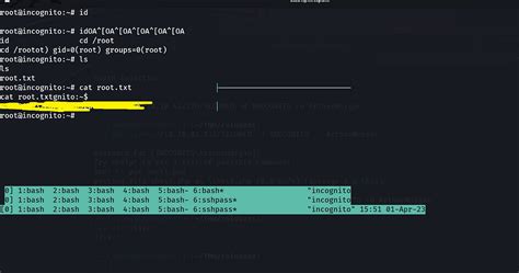 Lowlevelhacker Xpath Injection
