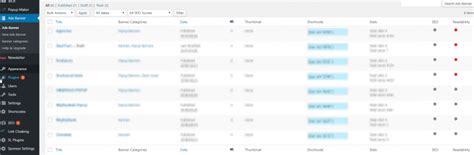 HOW TO FIX ISSUE WORDPRESS PLUGIN BANNER ADS ROTATOR NOT DISPLAYING AD BANNERS PAGE Business