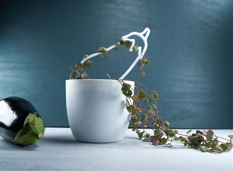 3d Eggplant Trellis For Indoor Plants Climbing Potted Etsy