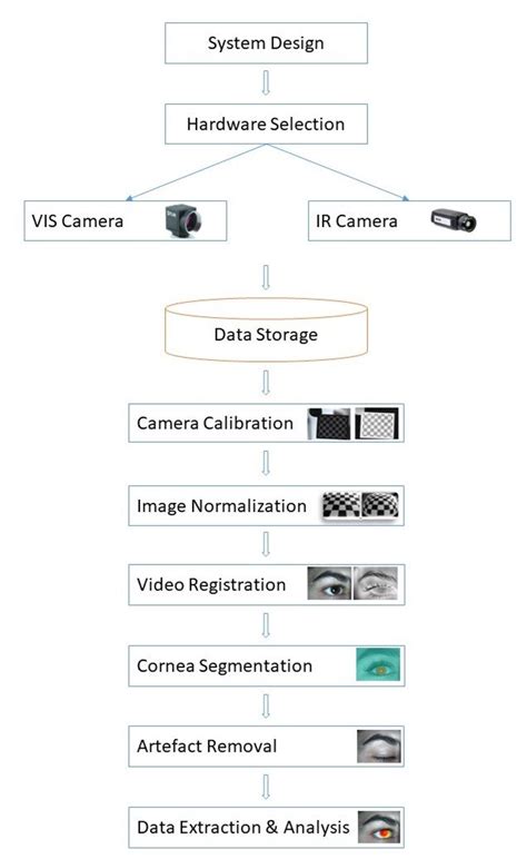 System Diagram Showing The Different System Design And Development Steps Download Scientific