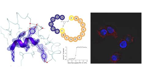 Optimized Peptide Based Inhibitor Of The Influenza Polymerase