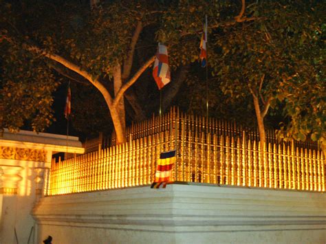 Roar සිංහල බෞද්ධයන්ගේ මුදුන්මල්කඩ වන් ශ්‍රී මහා බෝධිය