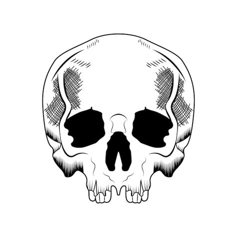 Premium Vector Skull Vector Design