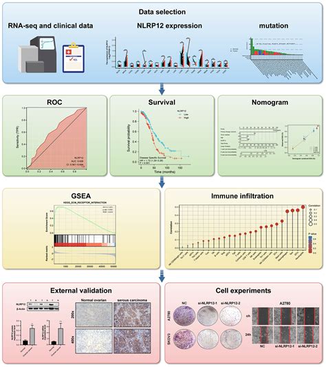 Nlrp12 Is A Prognostic Biomarker And Correlated With Immune Infiltrates