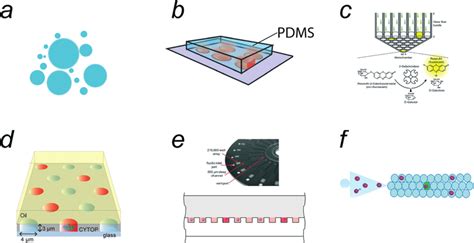 Micro Compartmentalization Methods A Water In Oil Emulsion B Pdms Download Scientific