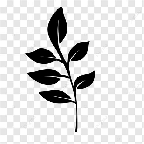 Beautiful Black Plant Silhouette Vector Silhouette Black Plant Png