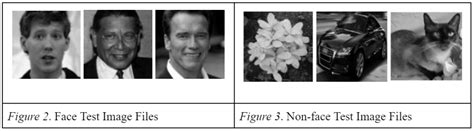 github santiem emergent facial detection model in go i modified