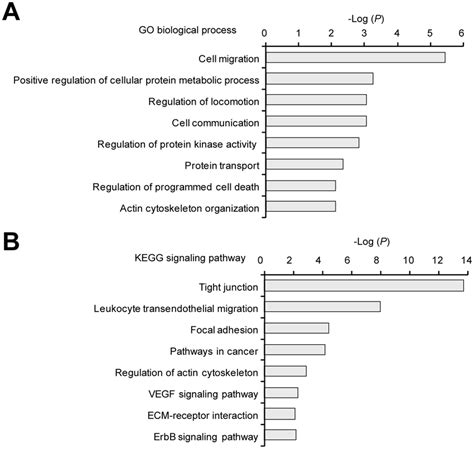 Functional Characterization Of The Top 100 Ranked Proteins Predicted To Download Scientific
