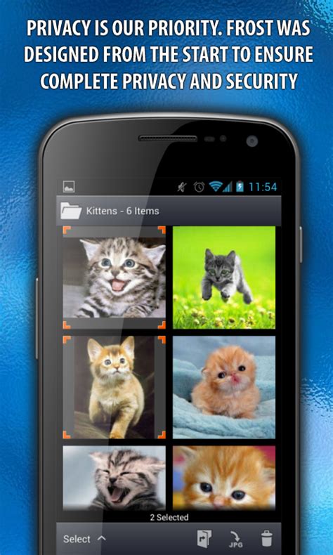 Frost Browser Crowbar Solutions