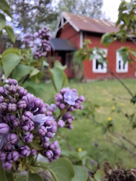 20240522 173112 Marit Flickr