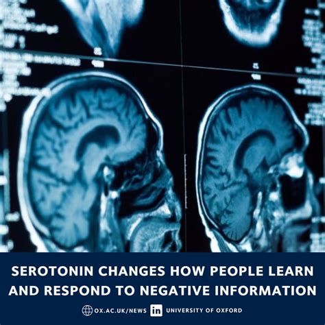 New Researchers Have Found Increasing Serotonin Makes People Better Able To Control Their
