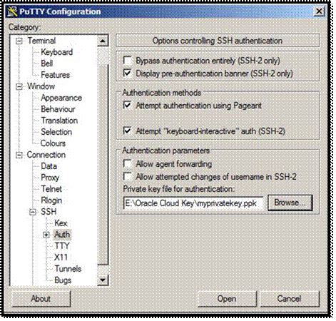 Oracle Cloud Passo A Passo Para Criar Um Banco De Dados Oracle Na Nuvem Parte II Oracle Brasil