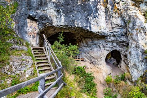 Who Were The Neanderthals And Denisovans