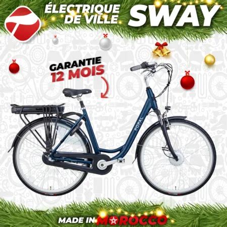 Vélo électrique Telusbikes