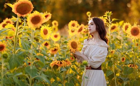 67 Delightful Examples Of 3 Stanza Poems My 1 Favorite