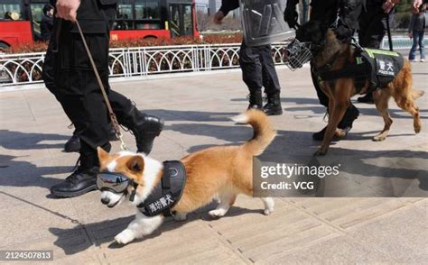 11 Photos And High Res Pictures Getty Images