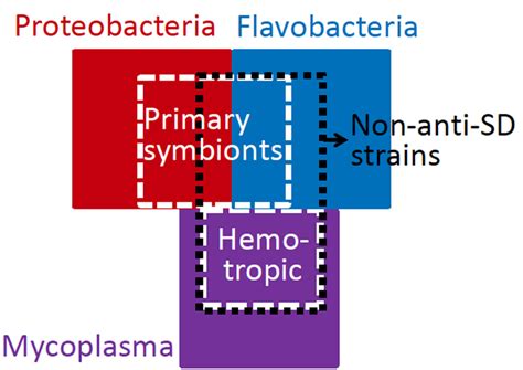 An Example Of Sequence Logo Representation For Chromatin State Cs3