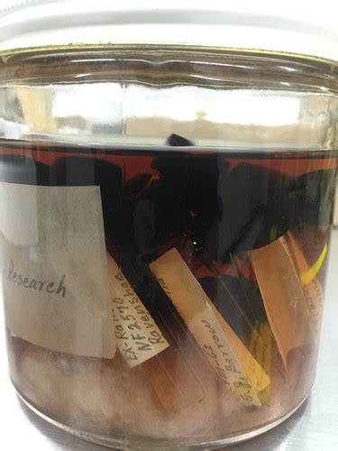 Good And Bad Practices For Ethanol Preserved Collections