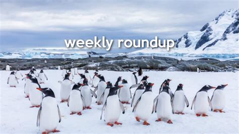 Linux Weekly Roundup Ubuntu Beta MX Linux And More