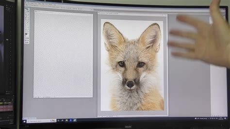 rdworks learning lab 240 aliasing bands in dithered images youtube