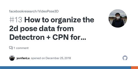 How To Organize The 2d Pose Data From Detectron Cpn For Runpy In Wild Video · Issue 13