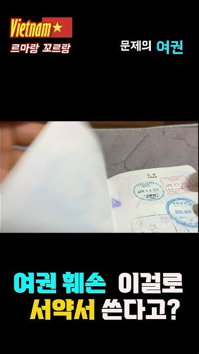 100만 조회수 터진 문제의 여권 공개여권관리 필수 여권 입국심사 Youtube