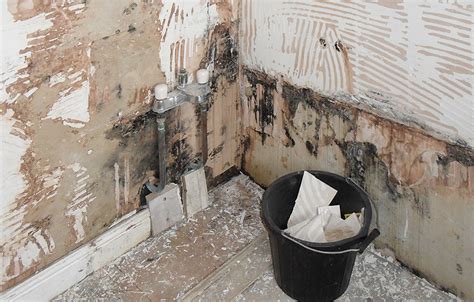 Principles Of Substrate Suitability For Wall And Floor Tiling Aa4pd