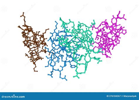 Human Beta Glucuronidase Molecule Royalty Free Illustration 110854278