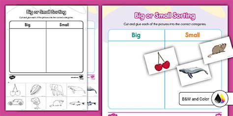 Big Or Small Sorting Worksheet Hecho Por Educadores