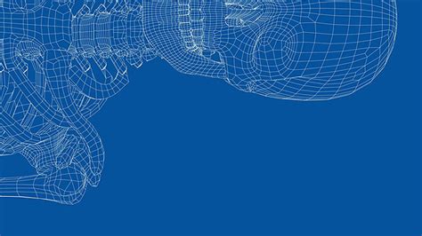 Human Skeleton Vector Decor Design Backbone Vector Decor Design Backbone Png And Vector With