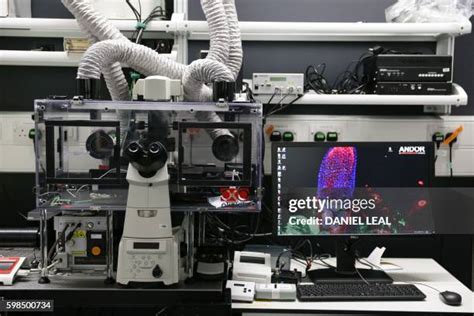 Science Microscope Photos And Premium High Res Pictures Getty Images