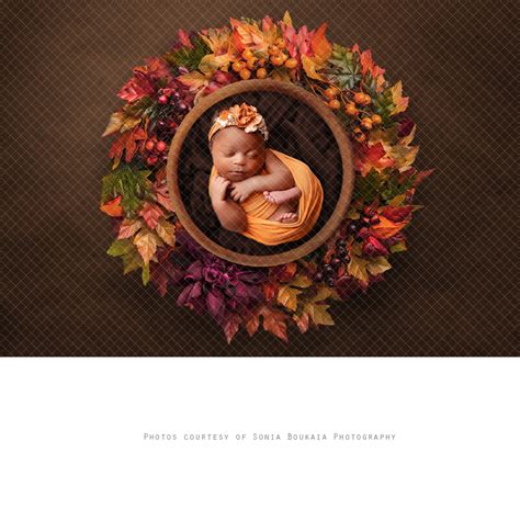 Newborn Fall Digital Backdrop Wreath