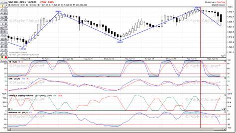 June 2013 Sbv Analysis Investment Strategy