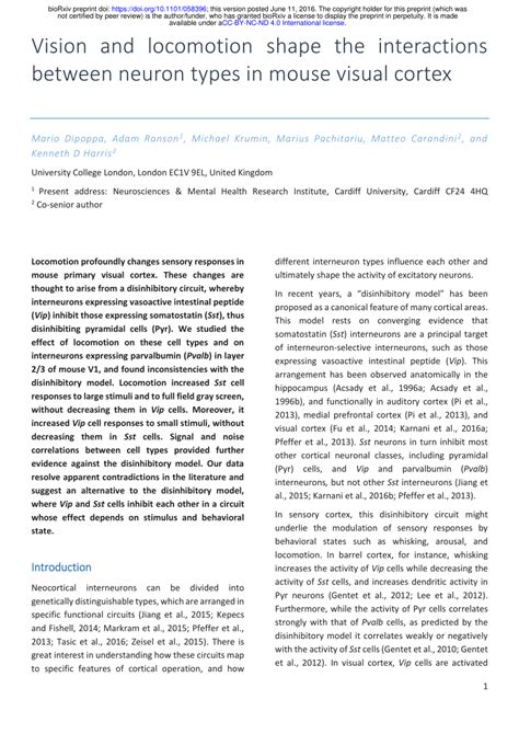 Pdf Vision And Locomotion Shape The Interactions Between Neuron Types In Mouse Visual Cortex
