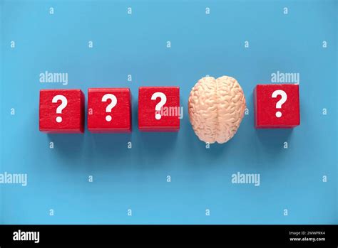 Concept Of Problems Solutions Doubts Mind And Mental Activity Brain