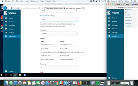 samples for string under scripted field are garbled on ie · issue