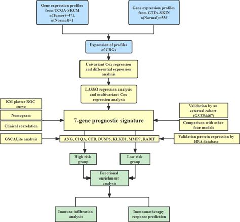Characterization Of Coagulation Related Gene Signature To Predict