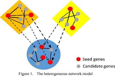 Figure 1 From Heterogeneous Network Based Propagation Algorithm For