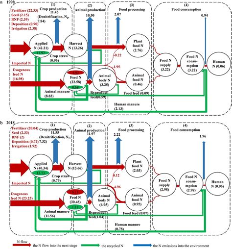 N Flows In Food Production And Consumption System To Calculate The N Download Scientific