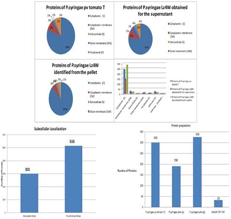The Sub Cellular Localization Of The Proteins Of P Syringae Pv Tomato T