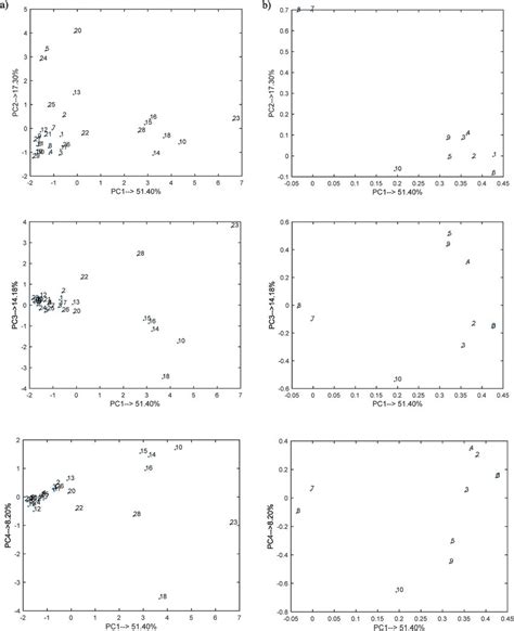 a score plots and b loading plots as a result of the pca for the