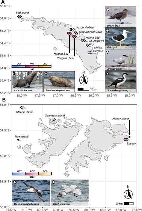 H5n1 Avian Influenza Virus Detected In Multiple Bird Species In